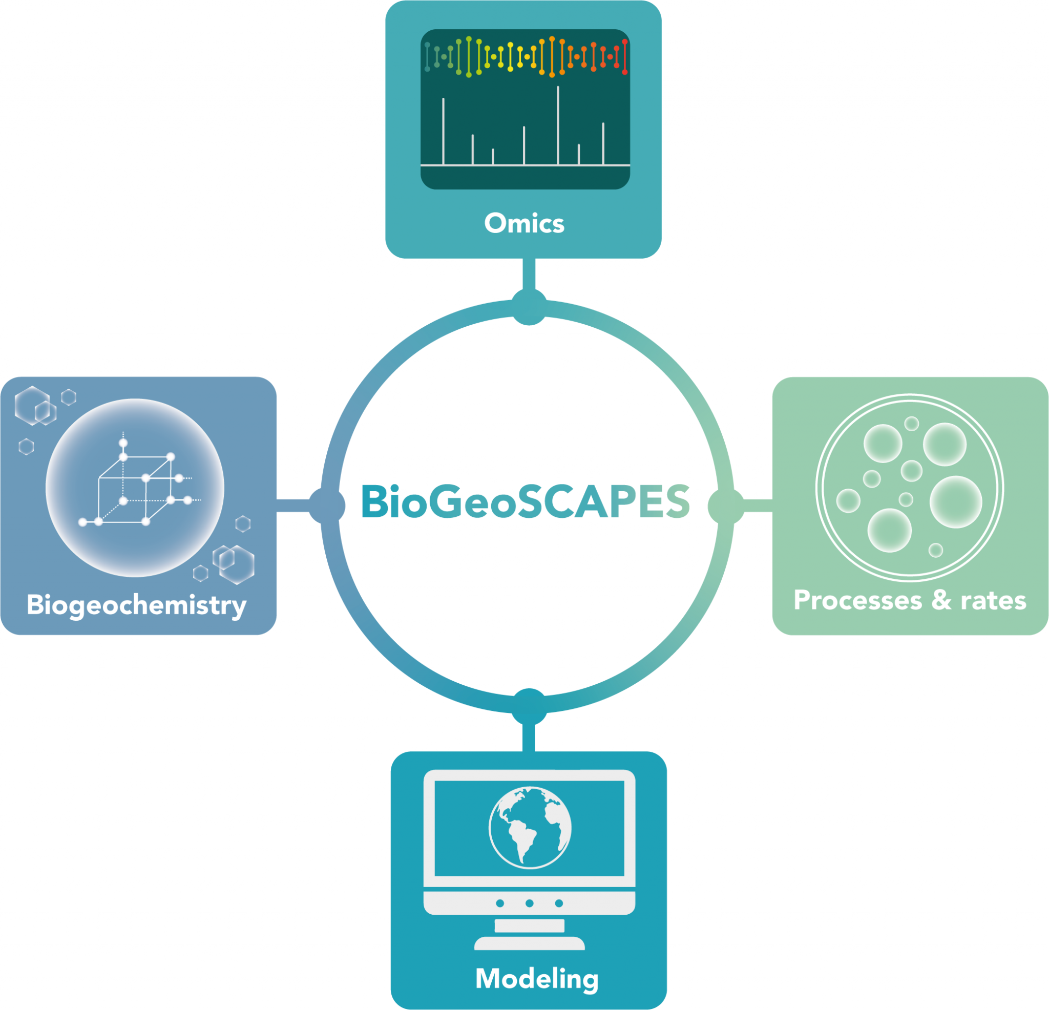 BioGeoSCAPES